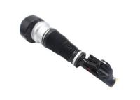 China A2213204913 A2213209313 Front Air Strut Suspension Air Shock For Mercedes Benz S Class W221 for sale