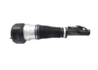 China A2213204913 A2213209313 Front Air Strut Suspension Air Shock For Mercedes Benz S Class W221 for sale