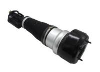 China A2213204913 A2213209313 Front Air Strut Suspension Air Shock For Mercedes Benz S Class W221 for sale