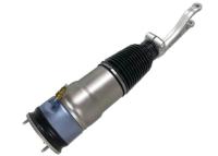China 1030608-00C Front Air Suspension Shock Absorber Strut For Tesla Model S 2012-2015 AWD for sale