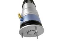 China 1030608-00C Front Air Suspension Shock Absorber Strut For Tesla Model S 2012-2015 AWD for sale