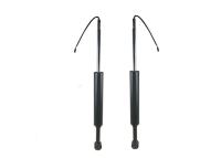 China 670037439 Rear Shock Absorber Struts For Maserati Levante M161 2017-2022 for sale