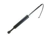 China 670037439 Rear Shock Absorber Struts For Maserati Levante M161 2017-2022 for sale