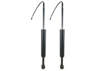 China 670037439 Rear Shock Absorber Struts For Maserati Levante M161 2017-2022 for sale