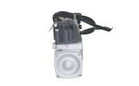 China 37226787617 Air Ride Suspension Compressor Pump for BMW X5 E53 1998-2005. for sale