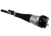 China Mercedes Benz W222 Rear Left and Right Airmatic Suspension Shock Absorber A2223200313 A2223200413 for sale