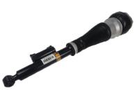 China Mercedes Benz W222 Rear Left and Right Airmatic Suspension Shock Absorber A2223200313 A2223200413 for sale