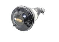 China Airmatic Air Suspension Shock Absorber For Mercedes Benz S Class W220 Front Left Right for sale