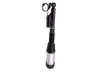 China A2203205013 Rear left and Right Air Suspension Shock Absorber For Mercedes Benz W220 for sale