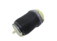 China Pair Rear Air Suspension Spring For 2005-2011 Audi Allroad Quattro A6 4F C6 4F0616001J for sale