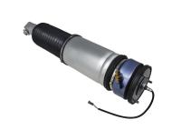 China 37126785536 37126785535 Rear Left and Right Air Suspension Shock Strut Assembly For BMW 7 Series E65 E66 With EDC for sale