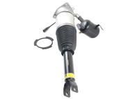 China Rear Left And Right Air Suspension Shock Strut For 2002-2010 Audi A8 D3 4E 4E0616001N 4E0616001E for sale