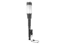 China A2203205013 2PCS Rear Air Suspension Struts Shock Assembly For 1998-2005 Mercedes Benz S CLASS W220 S350 S430 S500 for sale