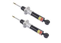 China 255863 Front Air Suspension Shock Absorber For Ferrari 458 Spider Italia 2010-2015 for sale