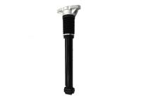 China A1673200230 Strut Shock Absorber For Mercedes Benz W167 GLE 450 Rear Left Or Right  2019-2022 for sale