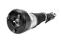 China A2203202438 A2203205113 Front Air Suspension Shock Strut For Mercedes Benz S Class W220 S430 S500 S600 for sale
