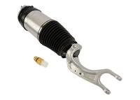 China 102706100C 102736100E Front Air Suspension Shock Struts For 16-19 Tesla Model X 75D 90D 100D P90D for sale