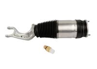 China 102706100C 102736100E Front Air Suspension Shock Struts For 16-19 Tesla Model X 75D 90D 100D P90D for sale