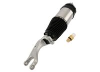 China 102706100C 102736100E Front Air Suspension Shock Struts For 16-19 Tesla Model X 75D 90D 100D P90D for sale