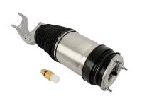 China 102706100C 102736100E Front Air Suspension Shock Struts For 16-19 Tesla Model X 75D 90D 100D P90D for sale