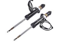 China 55311-3M500 55350-3M500 Electronic Strut Shock Absorber For Hyundai Equus 2011-2016 Rear Left Right for sale