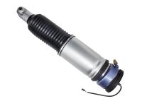 China Rear Right Air Suspension Strut Shock Absorber For BMW 7 Series E65 E66 W/EDC 37126785536  37126767128 for sale