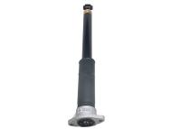 China A2133201530 A2133201630 Air Suspension Shock Absorber For Mercedes E Class W213 CLS C257 Rear  W/O ADS for sale
