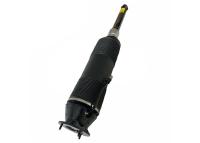 China Rear ABC Hydraulic Strut Shock Absorber A2203201813 A2203206013 For Mercedes Benz W220 W215 CL500 for sale