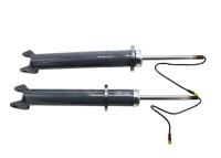 China 99733305330 99733305331 Rear Shock Absorber Fit Porsche Carrera 911 997 2WD/4WD L/R for sale