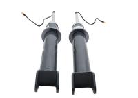 China 99733305330 99733305331 Rear Shock Absorber Fit Porsche Carrera 911 997 2WD/4WD L/R for sale