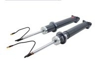 China 99733305330 99733305331 Rear Shock Absorber Fit Porsche Carrera 911 997 2WD/4WD L/R for sale