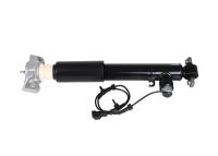 China Rear Right Air Suspension Shock Absorber Strut EG9Z18125A For Lincoln MKZ 13-20 for sale