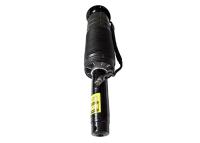 China Front Right Hydraulic ABC Shock Absorber Strut For Mercedes W220 C215 A2203201638 for sale