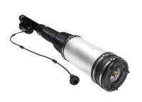 China A2203205013 Rear Air Suspension Shock Struts For Mercedes Benz W220 S320 S430 S500 S600 1998-2005 for sale