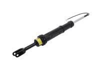 China 4E0616039AF 4E0616040AF Air Suspension Shock Absorber Core Front L/R For Audi A8 D3 S8 4E 2002-2010 for sale