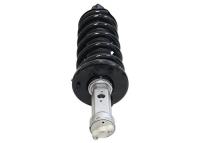 China 56100-1LD4A  561001LD4A Shock Absorber Assembly For Infiniti QX56 QX80 2011-2017 Front Left Right for sale