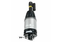 China Rear Right Air Suspension Strut With VDS For Range Rover Sport Shock Strut LR020001 for sale