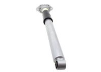 China Rear Left Or Right Air Suspension Shock Absorber 97033306107 97033306108 Fit Porsche Panamera 970 2010-2016 for sale