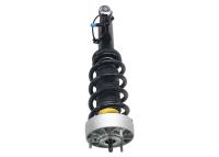 China Front Shock Strut Assys For BMW X5 F15 X6 F16 XDrive35 2014-19 # 31316851747 for sale