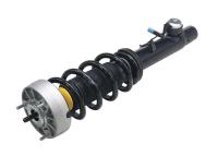 China Front Shock Strut Assys For BMW X5 F15 X6 F16 XDrive35 2014-19 # 31316851747 for sale
