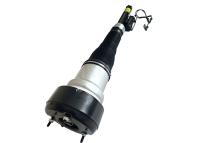 China A2213205613 Rear Right Air Suspension Shock Strut Absorber For Mercedes Benz S Class W221 for sale