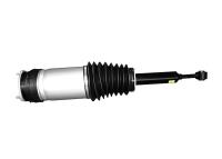 China W309255002 Rear Left / Right Air Suspension Shock Absorber For Tesla Model X 2016-2021. for sale