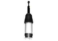 China W309255002 Rear Left / Right Air Suspension Shock Absorber For Tesla Model X 2016-2021. for sale
