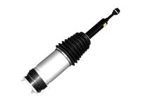 China W309255002 Rear Left / Right Air Suspension Shock Absorber For Tesla Model X 2016-2021. for sale