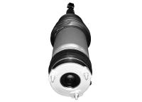 China W309255002 Rear Left / Right Air Suspension Shock Absorber For Tesla Model X 2016-2021. for sale