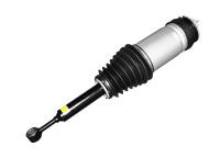 China W309255002 Rear Left / Right Air Suspension Shock Absorber For Tesla Model X 2016-2021. for sale
