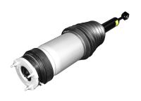 China W309255002 Rear Left / Right Air Suspension Shock Absorber For Tesla Model X 2016-2021. for sale