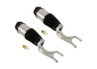 China 102736125E Front Air Suspension Shock Absorber For Tesla Model X 2016-2019 for sale