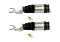China 102736125E Front Air Suspension Shock Absorber For Tesla Model X 2016-2019 for sale