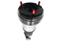 China A2223208113 A2223208213 Front Air Suspension Strut Shocks For Mercedes Benz W222 S450 S500 S560 4 MATIC for sale